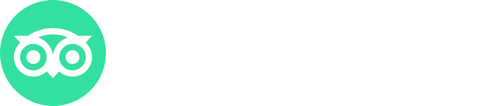 Tucandeira (bullet ants)Ritual 2025