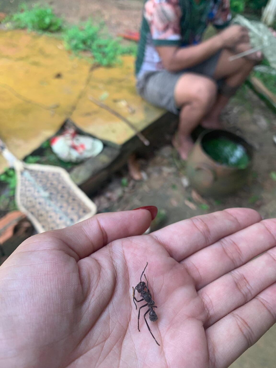 Ritual da Tucandeira: Ritual de Passagem E Jornada de Superação e ...