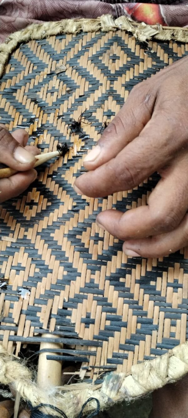 Ritual da Tucandeira: Ritual de Passagem E Jornada de Superação e ...