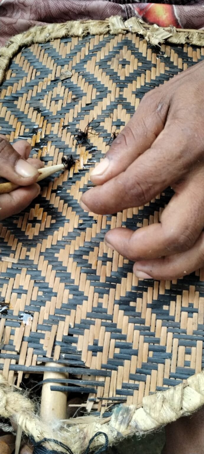 Ritual da Tucandeira: Ritual de Passagem E Jornada de Superação e ...